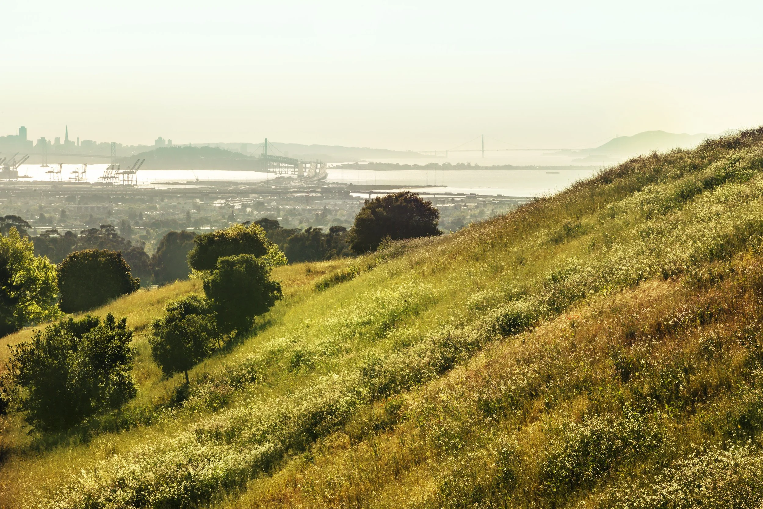 California Energy Storage Alliance