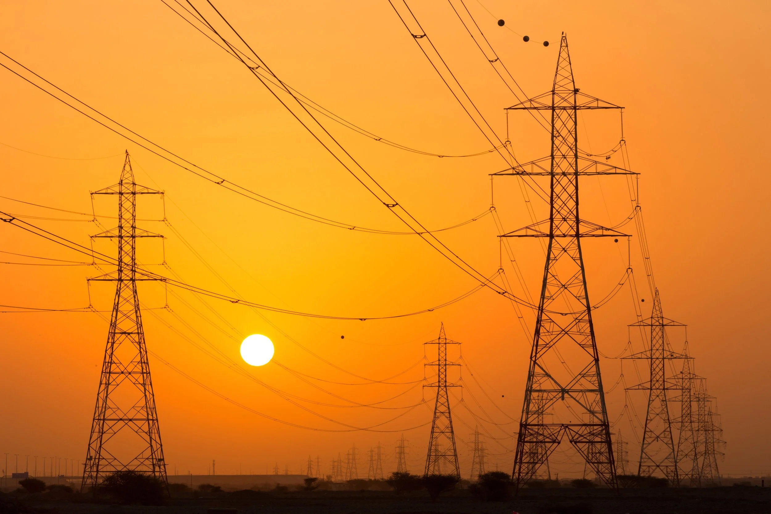 California Energy Storage Alliance