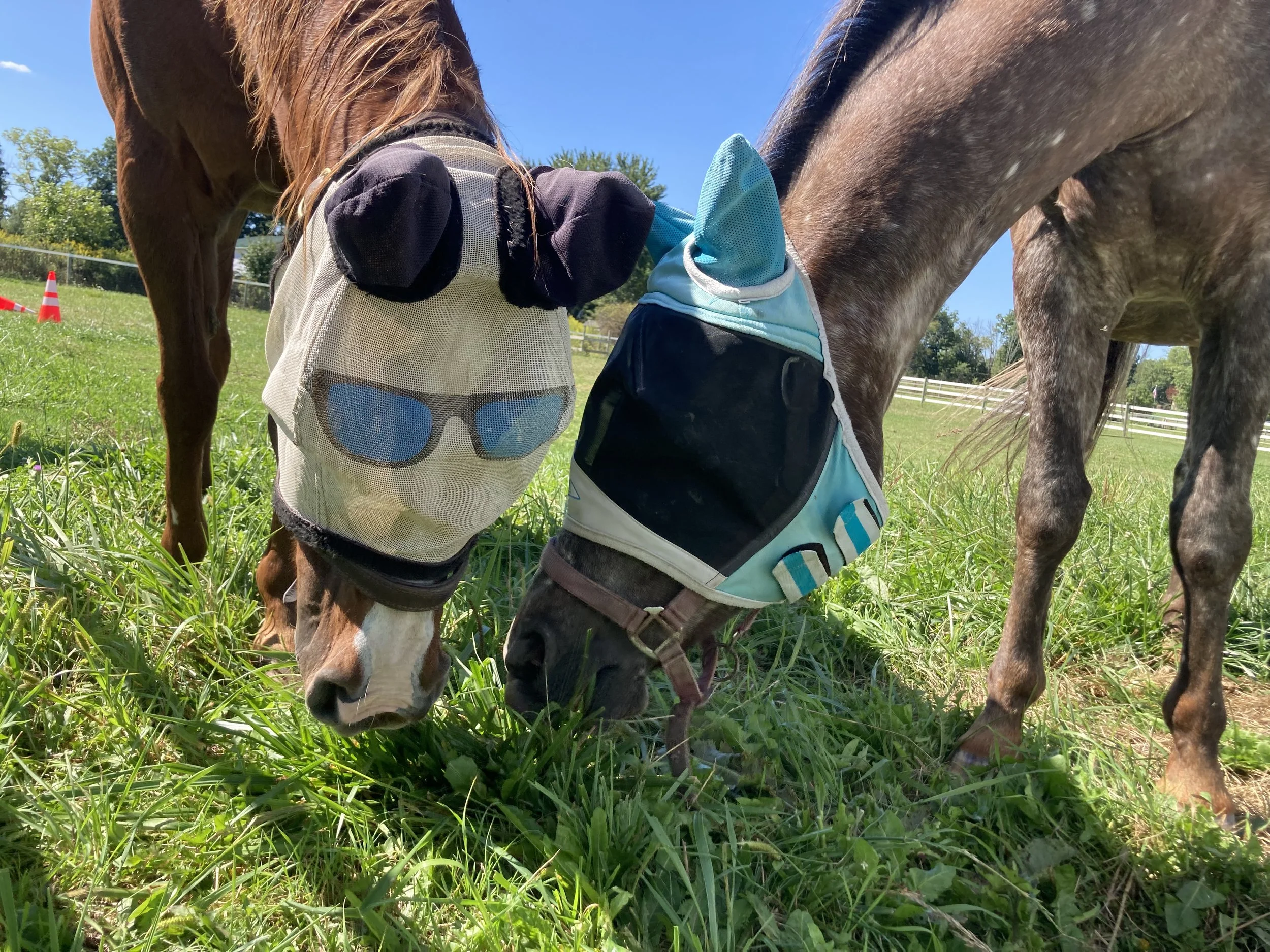 Ways to Donate — Hope Meadows