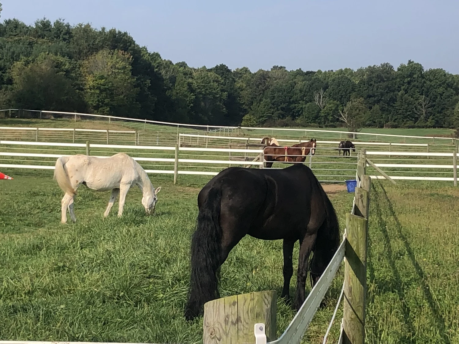 Ways to Donate — Hope Meadows
