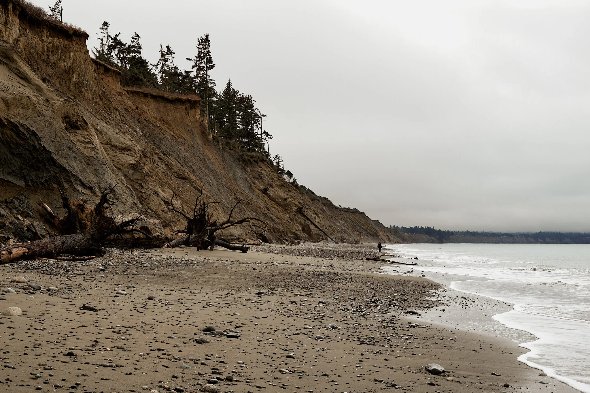 Discovering the Beauty of Dungeness Spit: A Perfect Day Trip in Western ...