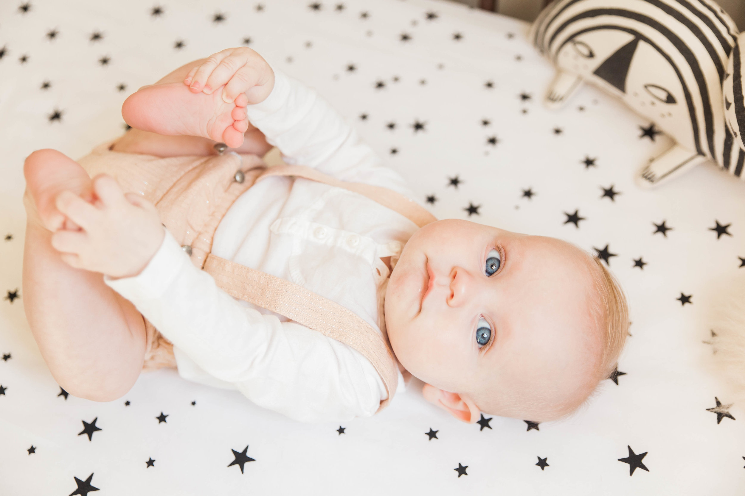 Lifestyle Gallery — Vanessa Tierney Photography