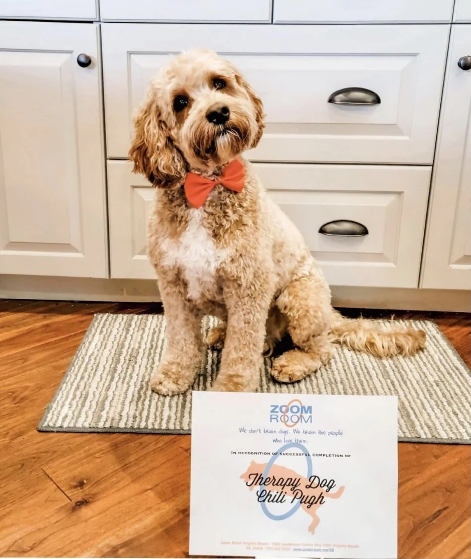 Great Bridge Australian Labradoodles — Our Boys