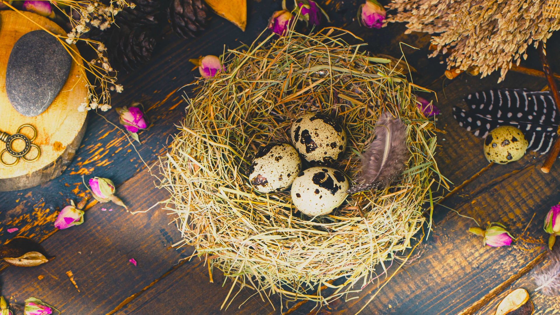 https://goldenwebmysteryschool.com/witchcraft-musings/spring-equinox ...