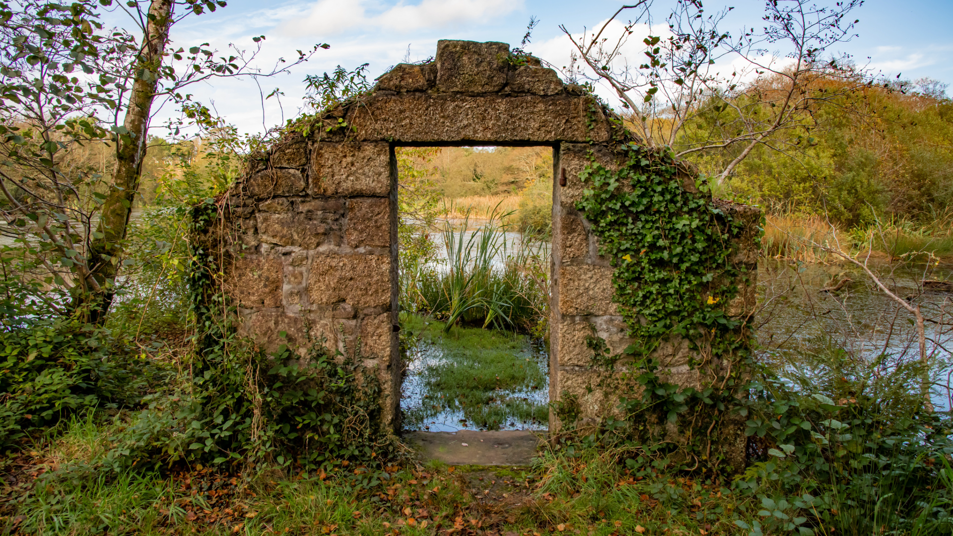 What Are Liminal Spaces and How Witches Work with Them — Golden Web ...