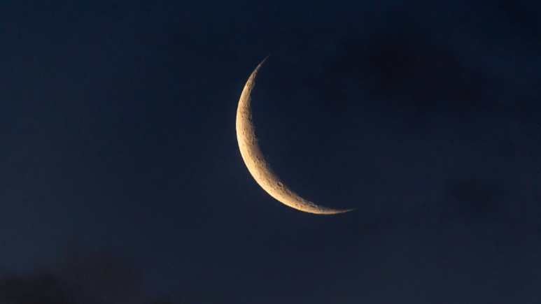 How Witches Use Moon Phases: A Beginner’s Guide — Golden Web Mystery School