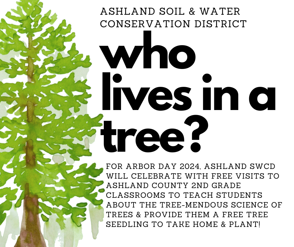 How to have a TREE-mendous Arbor Day! — Ashland SWCD