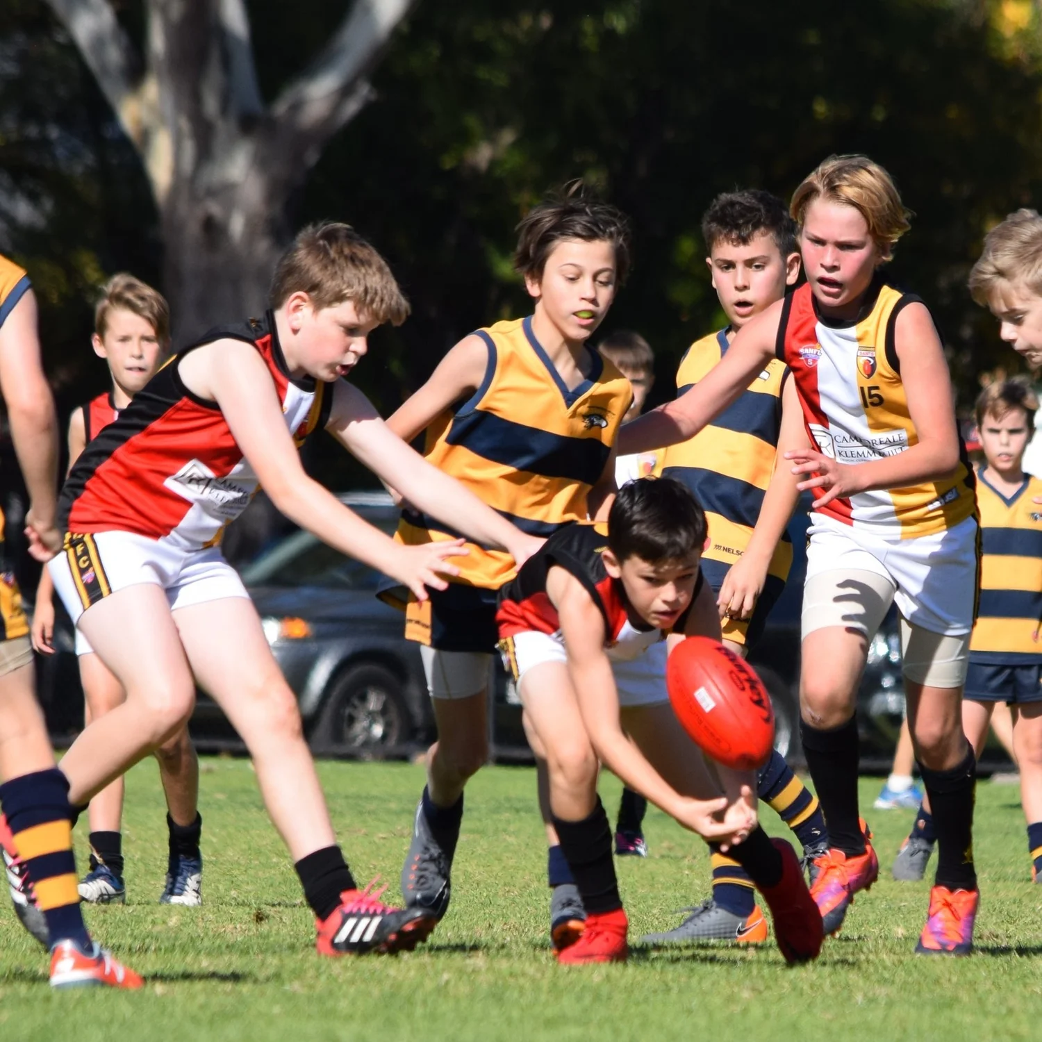 Football Overview — Goodwood Saints Football Club