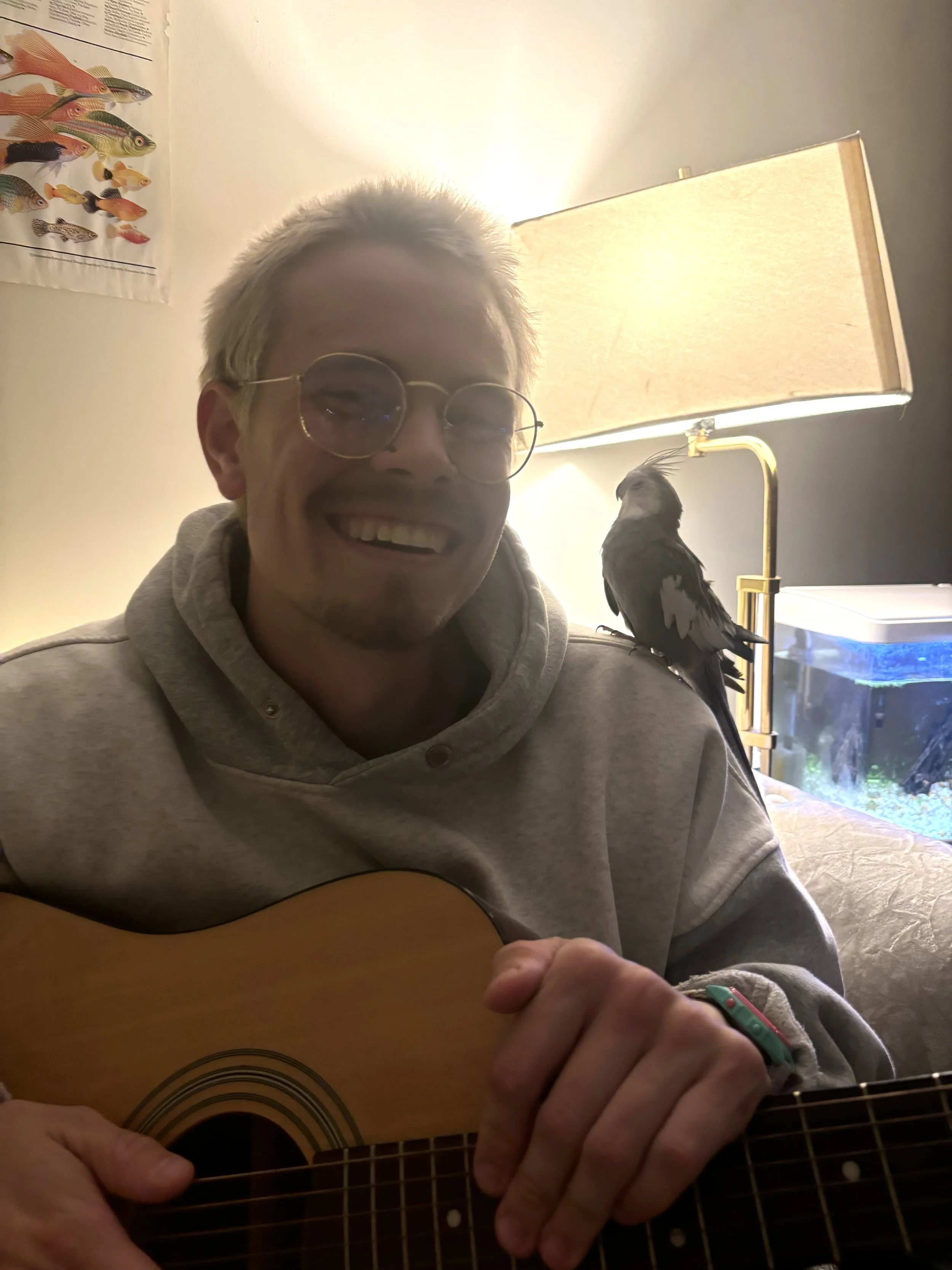 Meet the Herd — The Goat Conspiracy Sanctuary