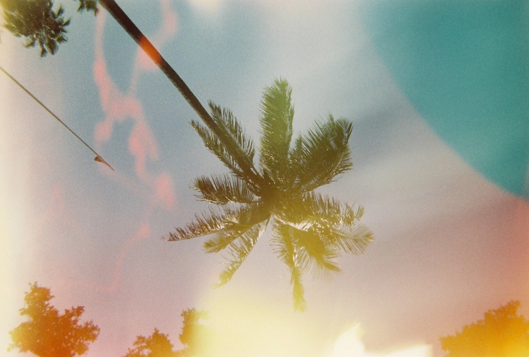 photos — OLLIE WALKER