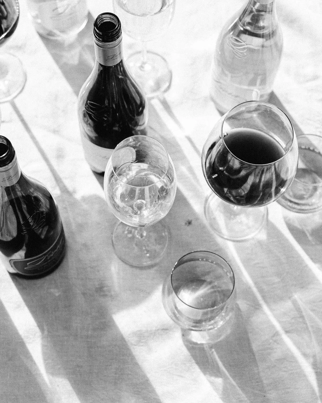 Alanna O'Neil | Photographer