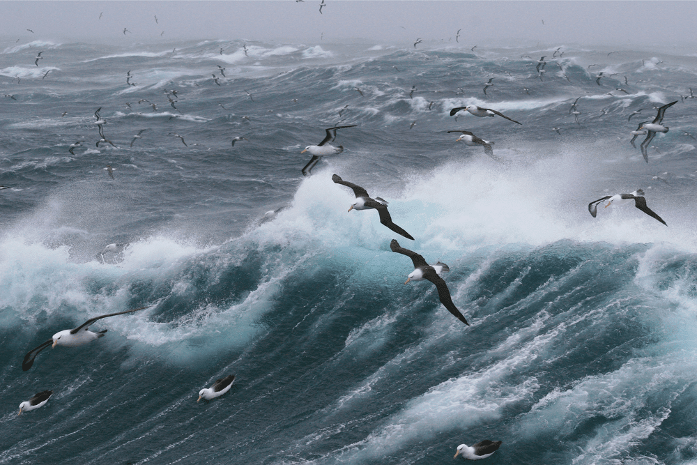 How SMEs can thrive rather than survive in a turbulent business ...