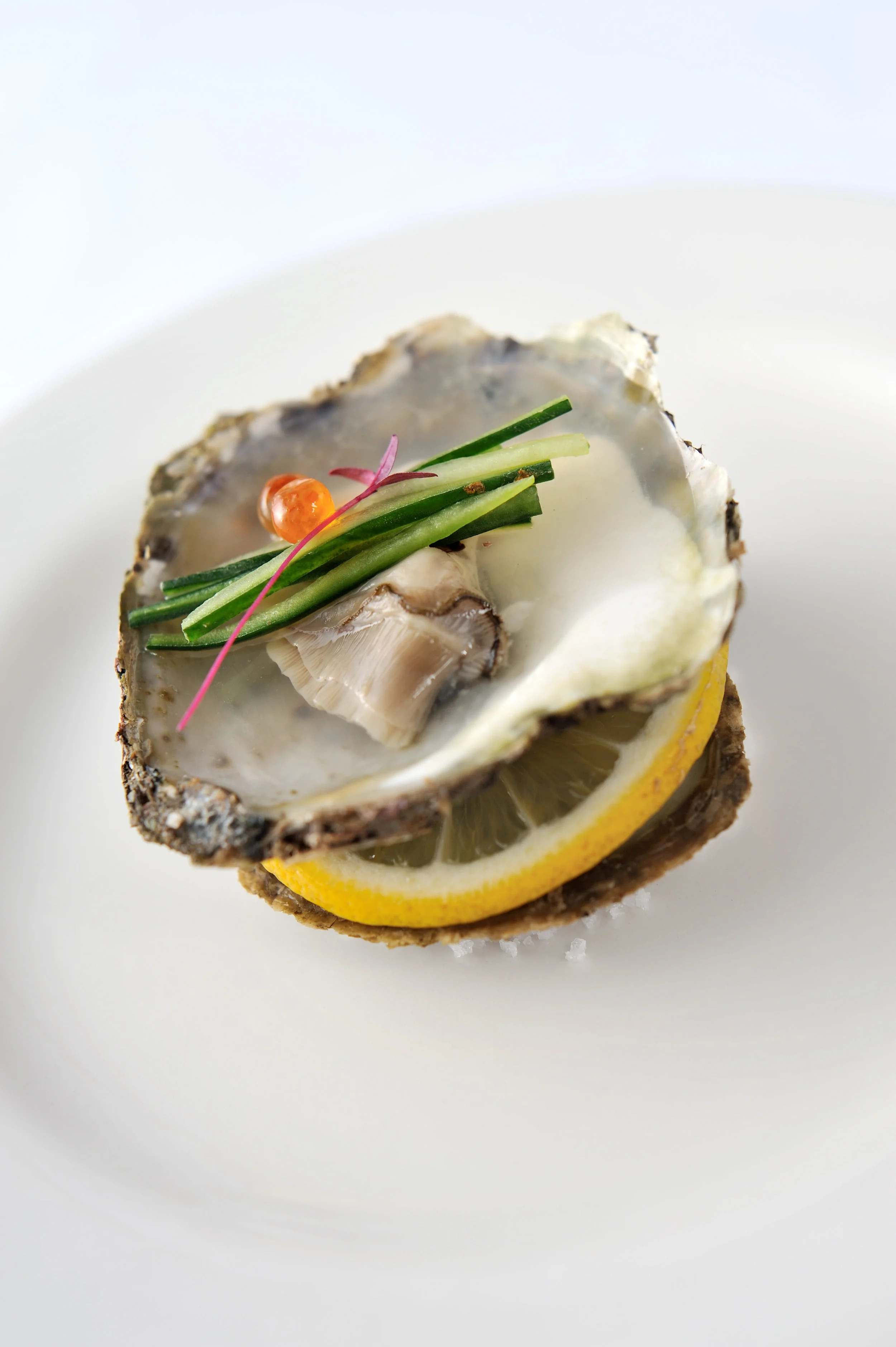 Gallery — — Chef Dale McIntosh