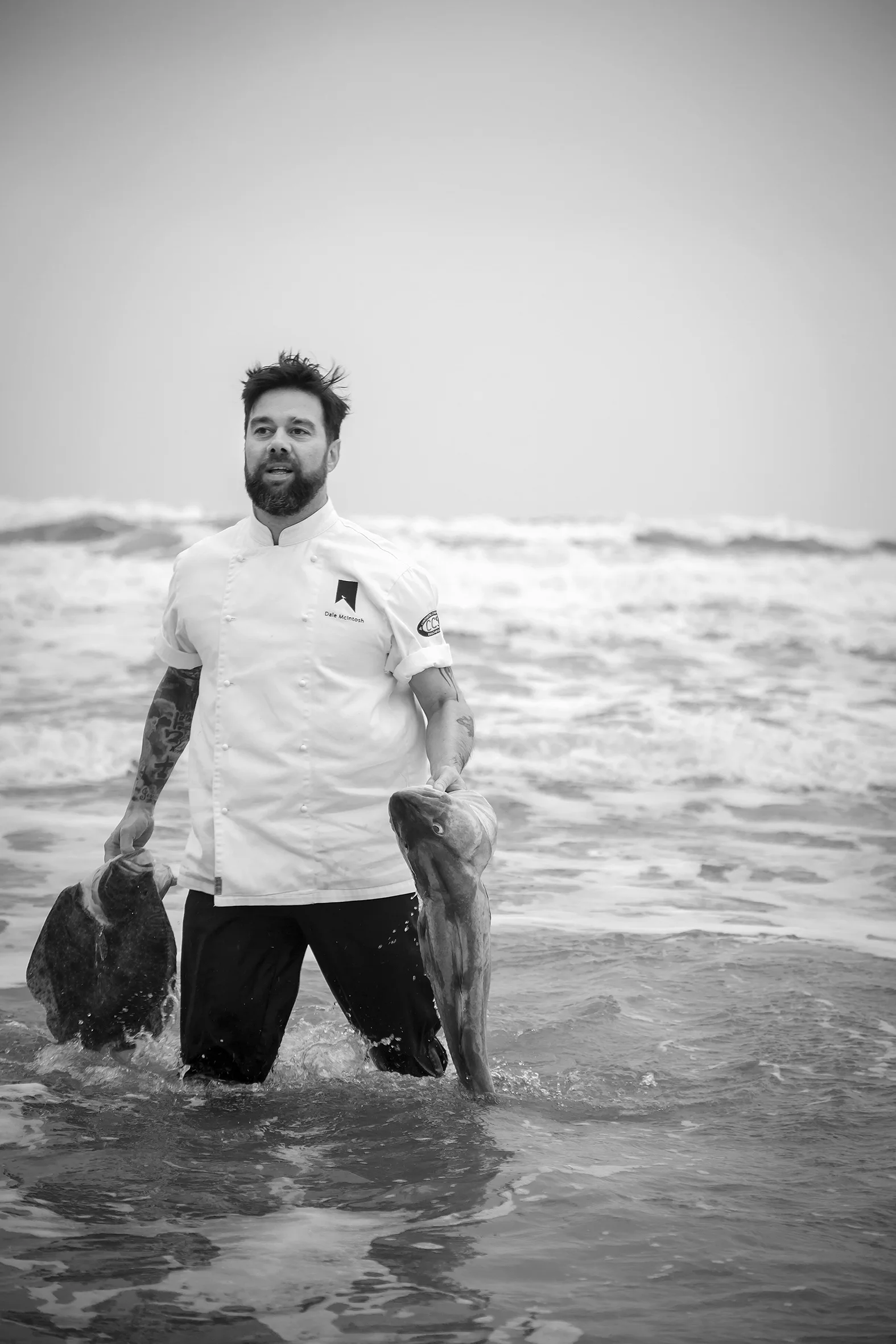 Gallery — — Chef Dale McIntosh