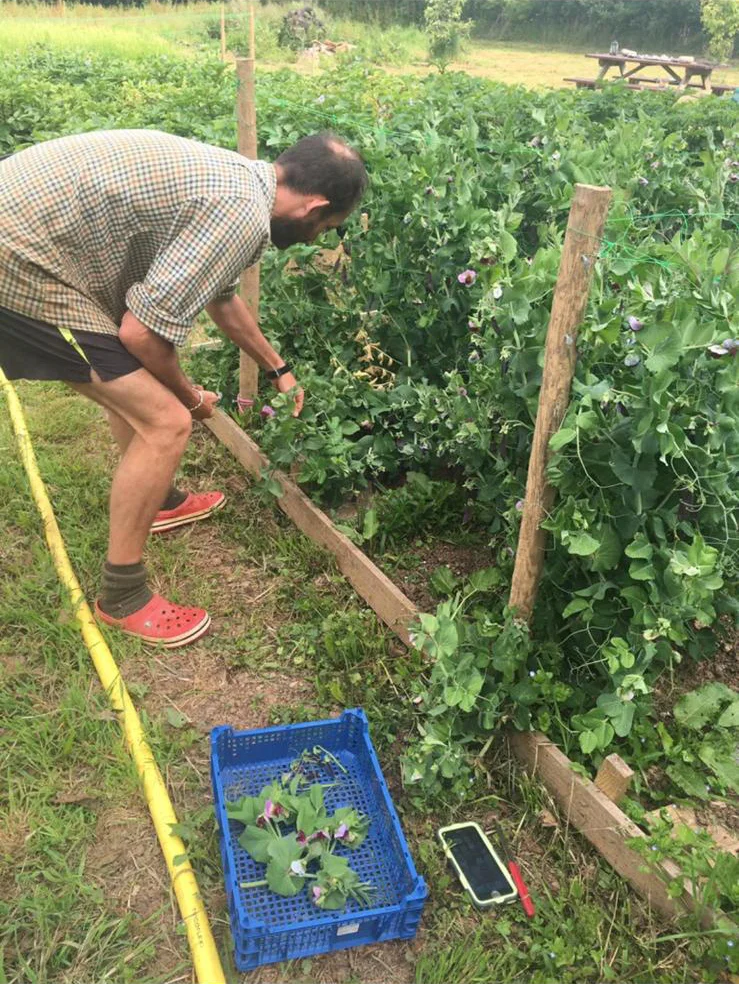 Gallery — — Chef Dale McIntosh