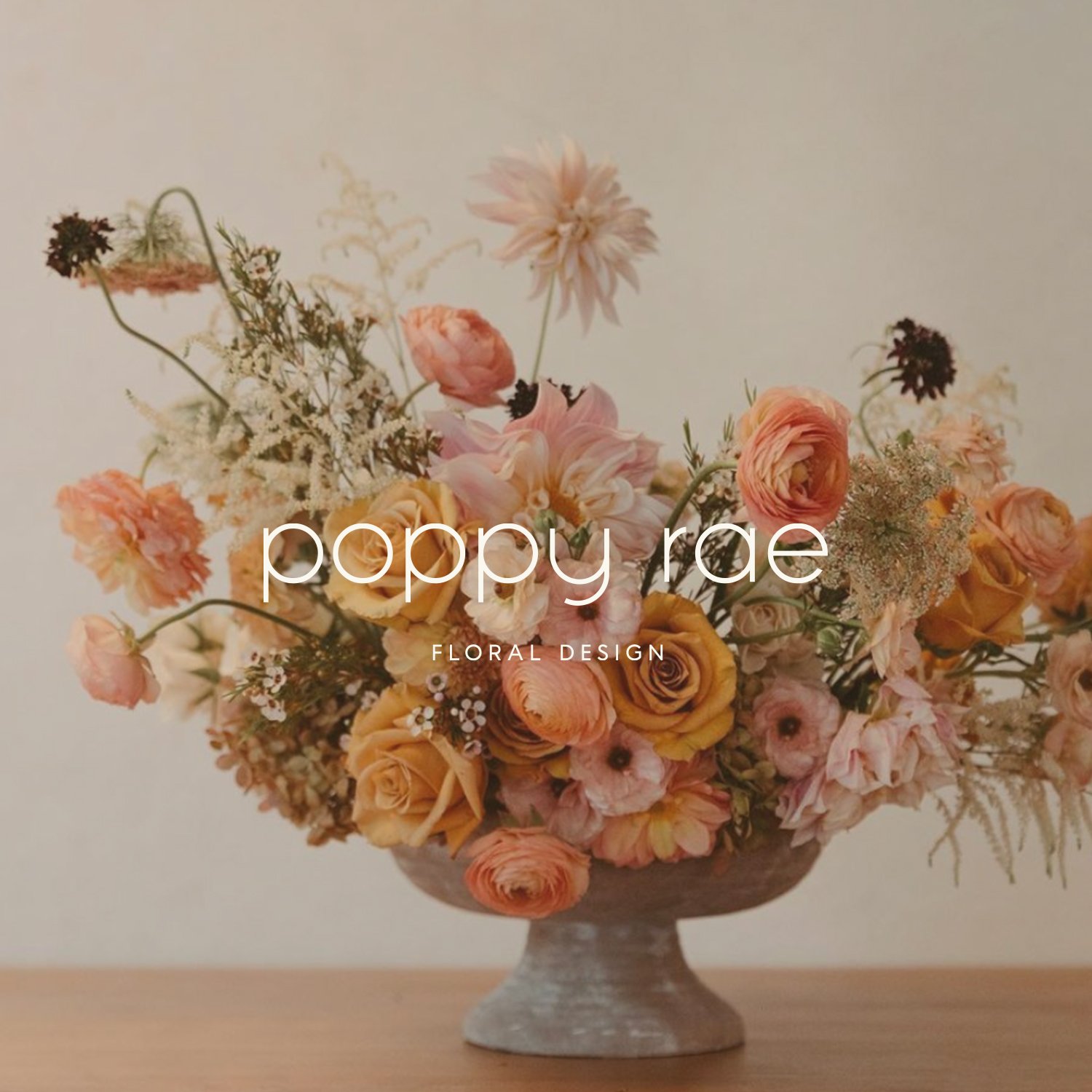 Galerie Design Studio