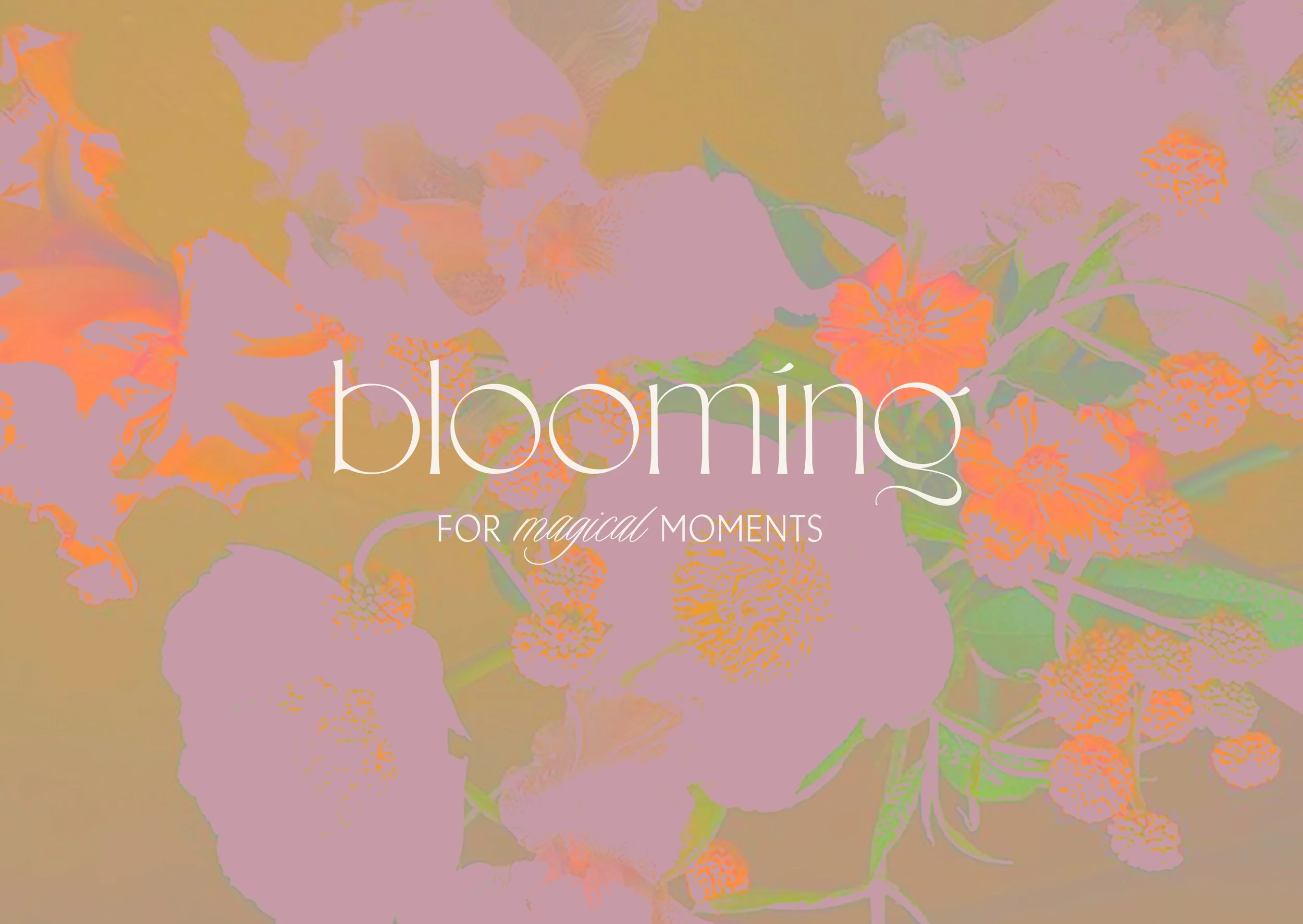 Graphic Designer — Galerie Design Studio