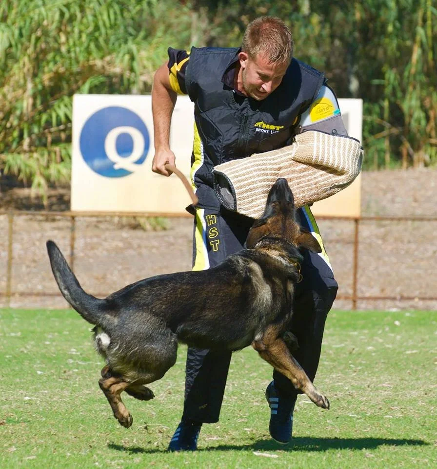 Precision K9 Training