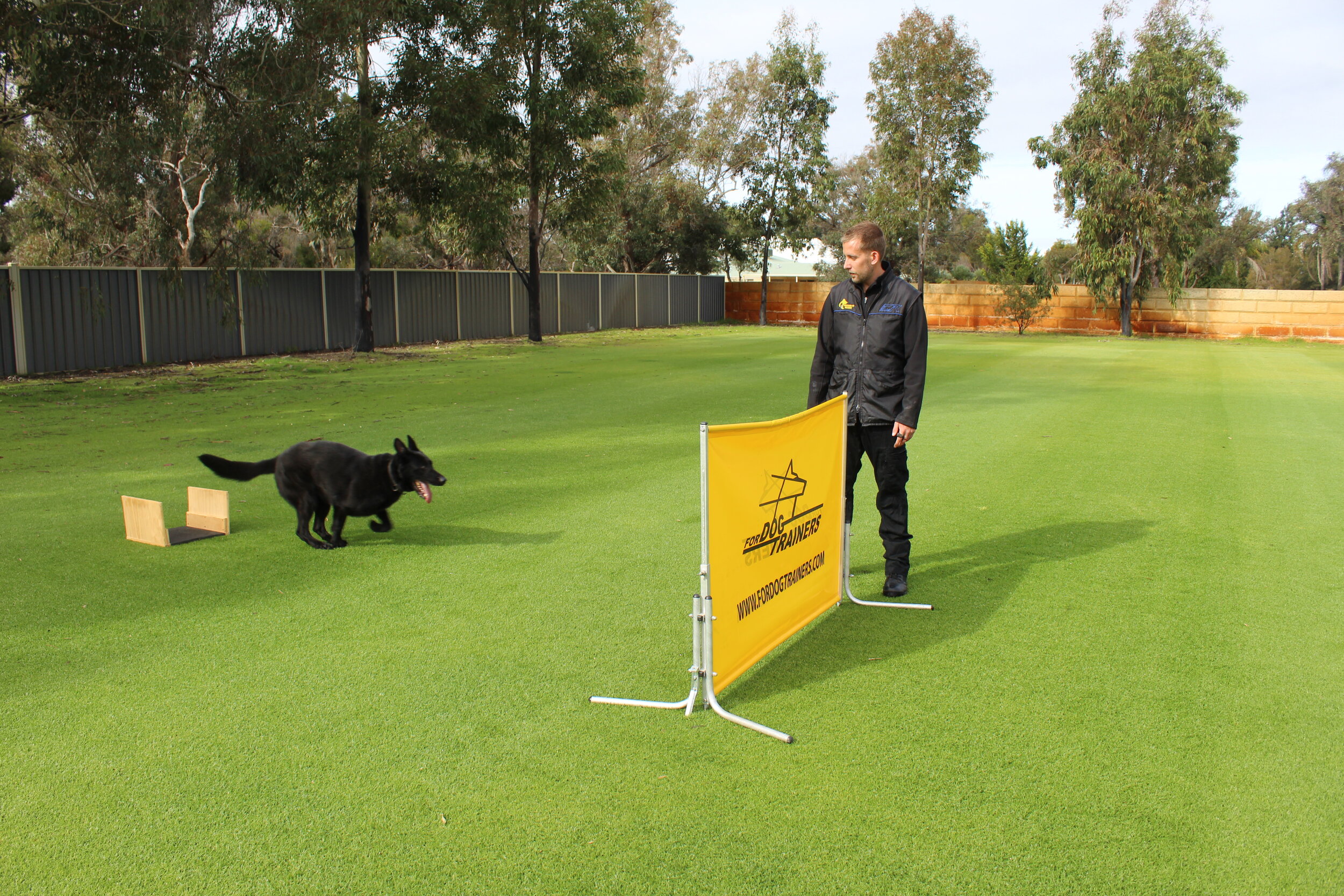 Obedience Training — Precision K9 Training