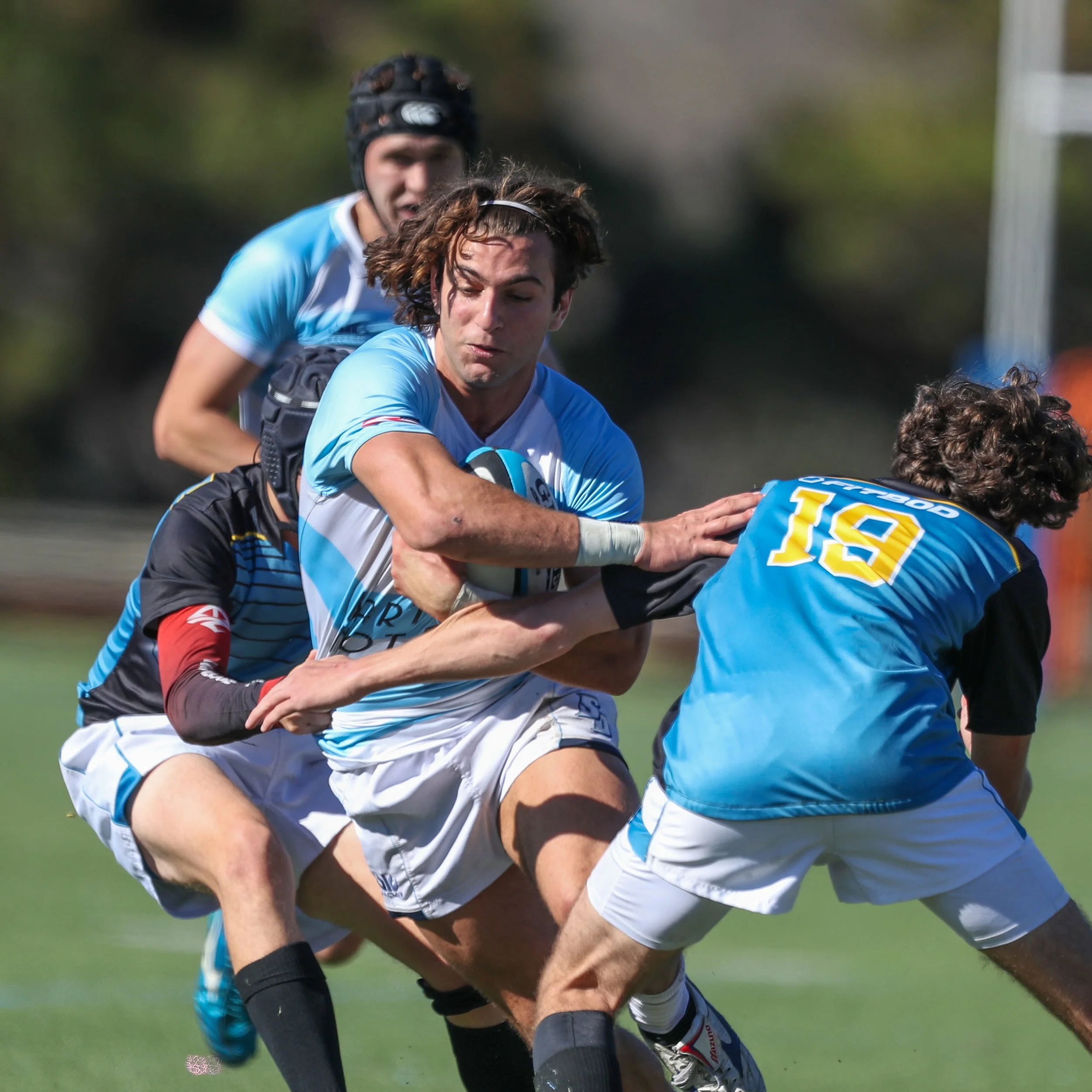 USD Rugby