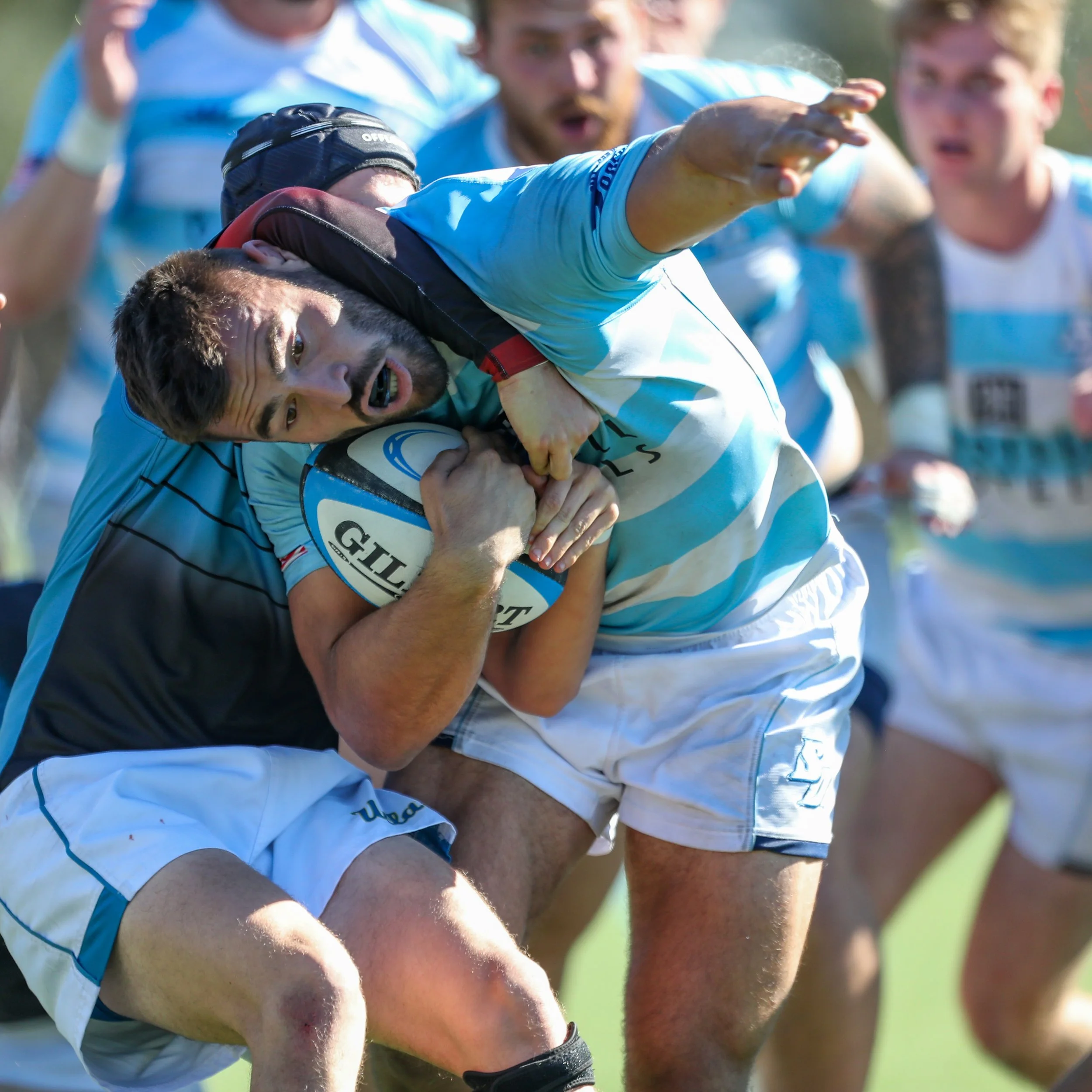 USD Rugby