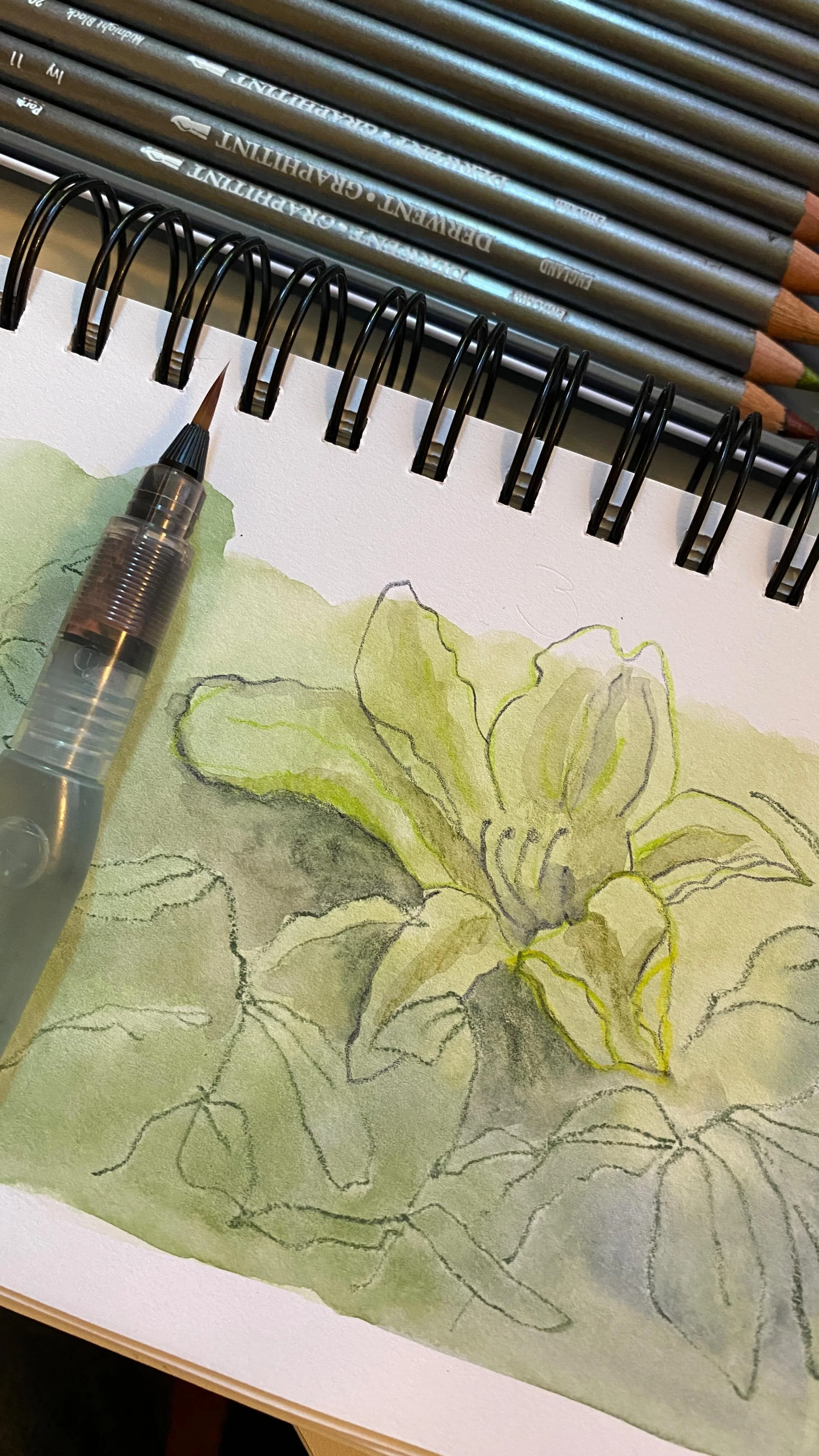 Laura Dechaine Fine Art