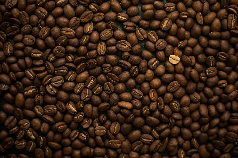 ABOUT — Rebel Bean: Fresh, locally roasted coffee beans