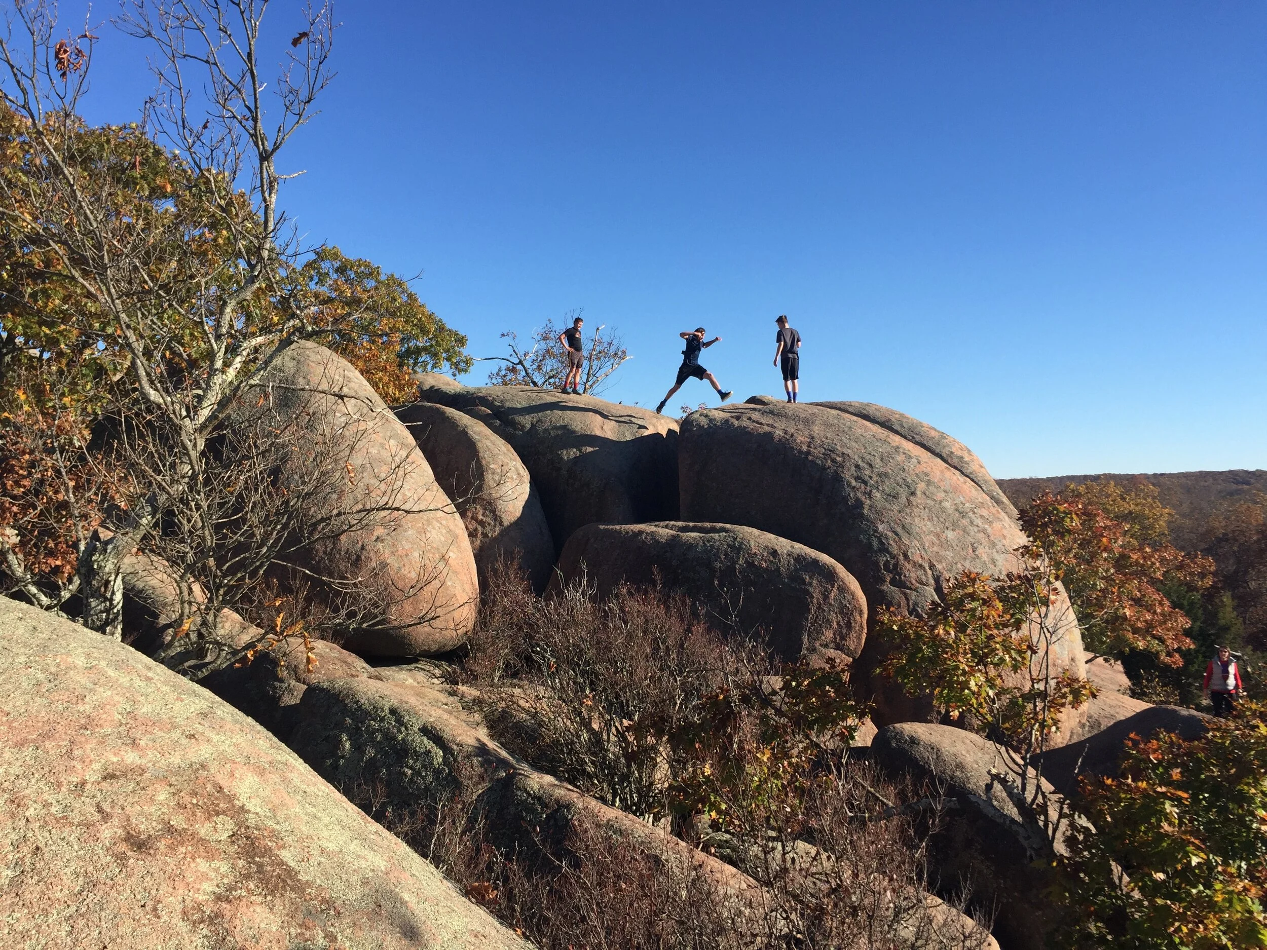 WESPINE STUDY CENTER