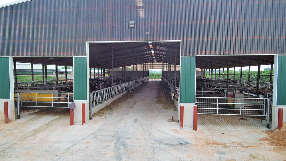 Baeten Freestall Barn | Bayland Buildings, Inc. — Bayland Buildings