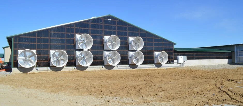 Kieler Farms Freestall Barn | Bayland Buildings, Inc. — Bayland Buildings