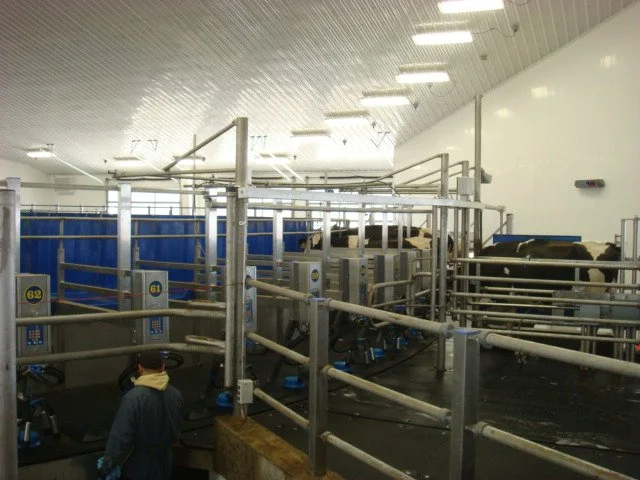 80 Stall Rotary Parlor — Bayland Buildings