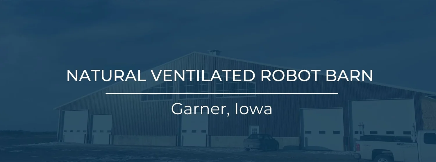 Natural Ventilated Robot Barn — Bayland Buildings
