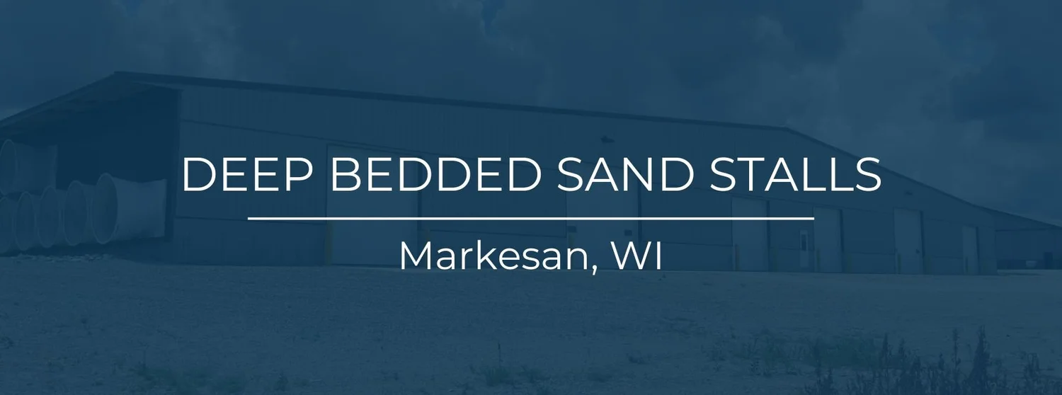 Deep Bedded Sand Stalls — Bayland Buildings