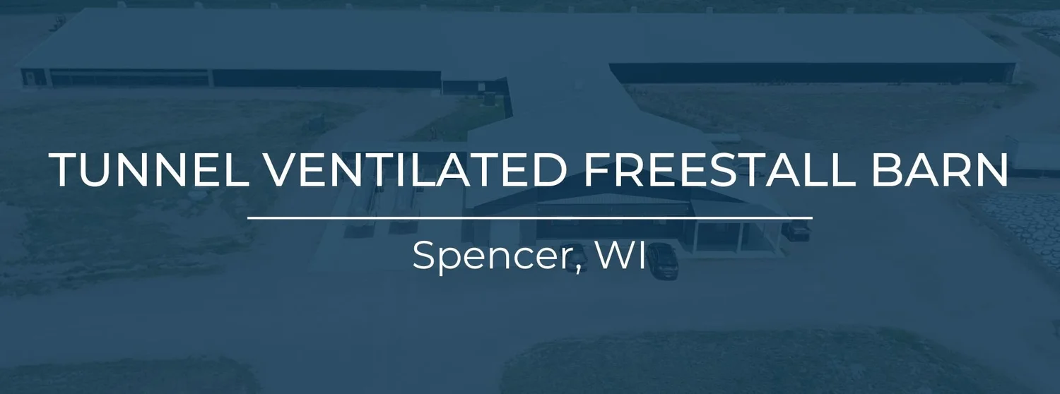 Tunnel Ventilated Freestaall Barn Dairy — Bayland Buildings
