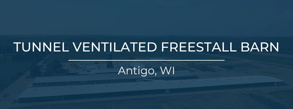 Tunnel Ventilated Freestall Barn - Evergreen — Bayland Buildings