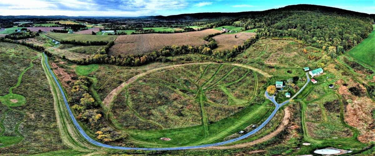 Tree of Life — The REED Center