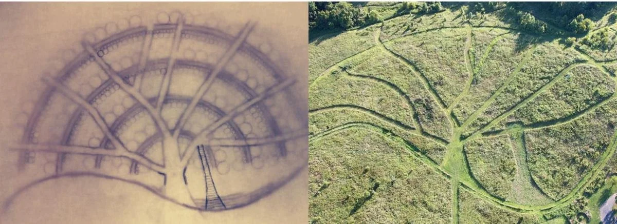 Tree of Life — The REED Center