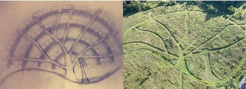 Tree of Life — The REED Center