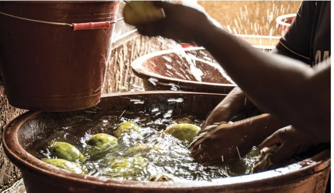 Loose Organic Dried Mango — GET LOOSE