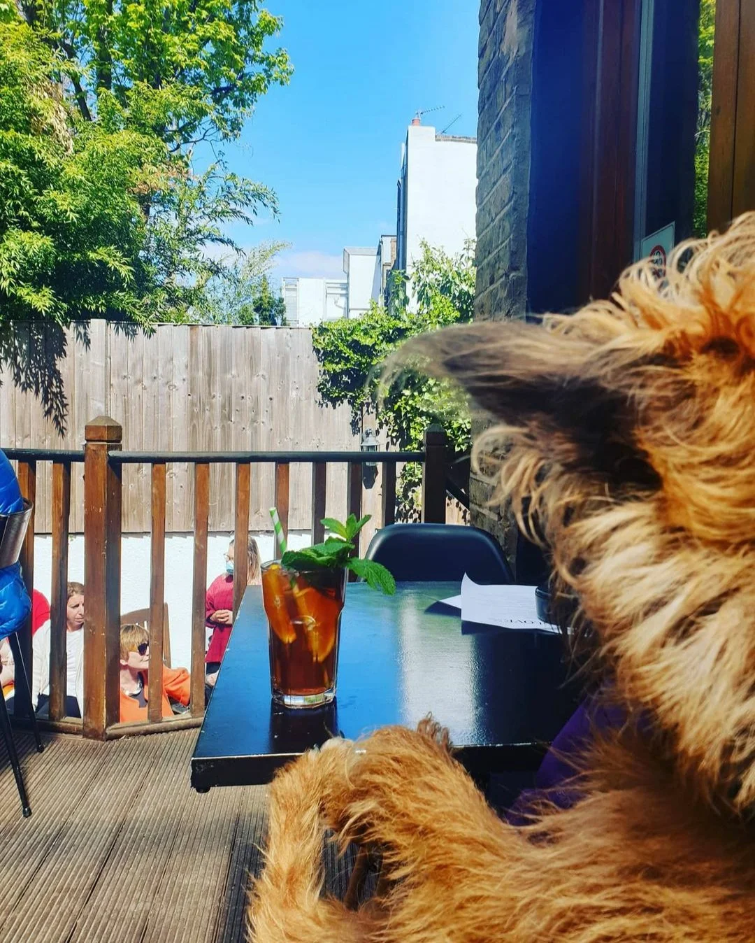 THE FOXGLOVE FREE HOUSE