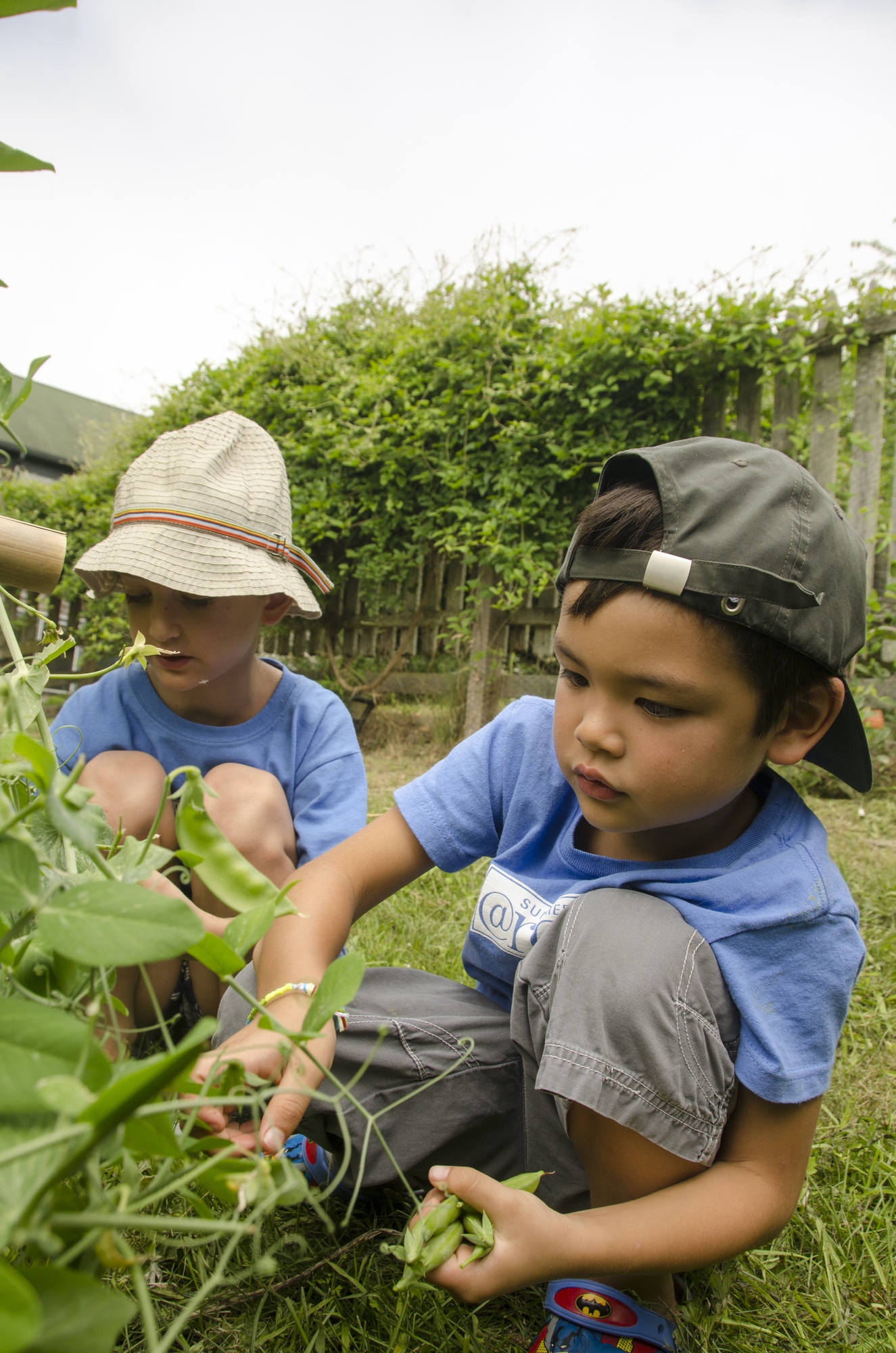 Ross Summer Early Childhood Camp — Ross School