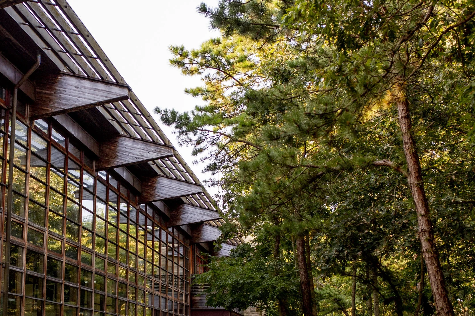 Inquire — Ross School