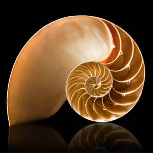 Home — Ross School