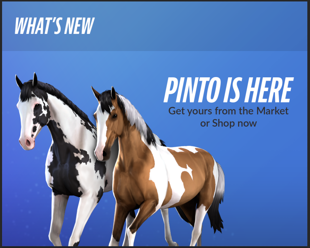 “We’ve learned a lot, but our mission to make great horse games hasn’t ...