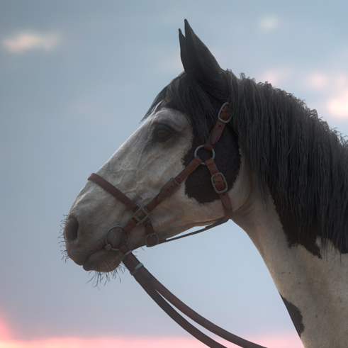 New High Quality Horse Asset for Developers: This animated Horse by ...