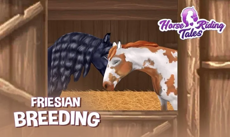 “We wanted to build a horse game that people could be passionate about ...
