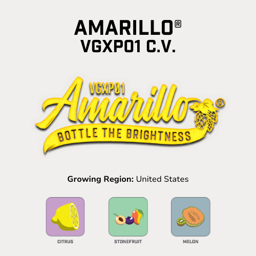 Buy Amarillo Hops Pellets - The Hop Guild — The Hop Guild