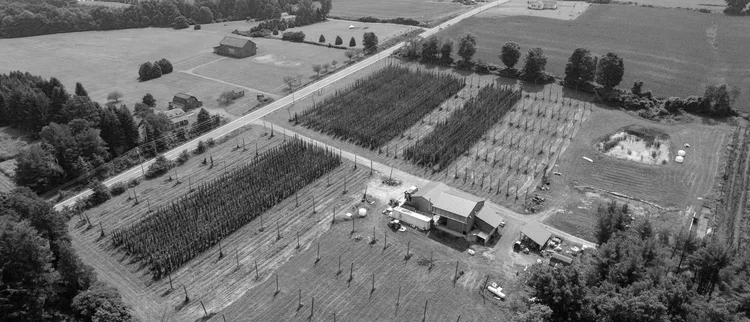 Premium, Hand-Selected Hops and Fruit from Select Growers Across The ...