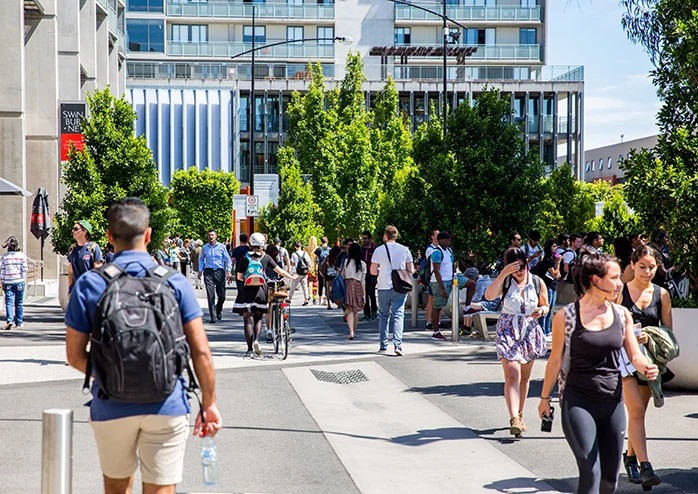 University Chancellors Council