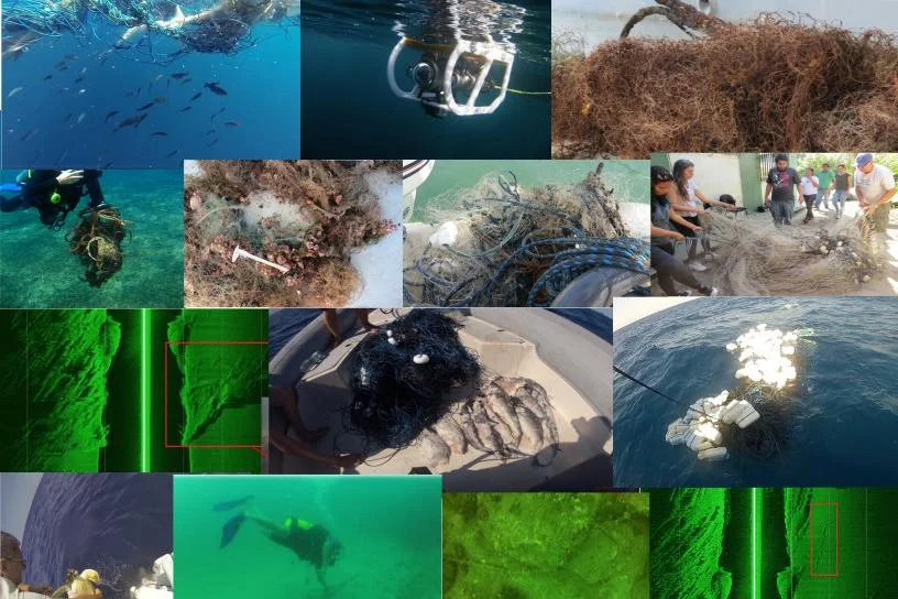 Projects — Global Ghost Gear Initiative